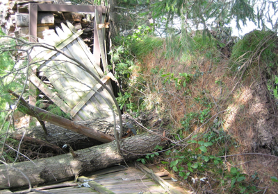 Promise Tree Service